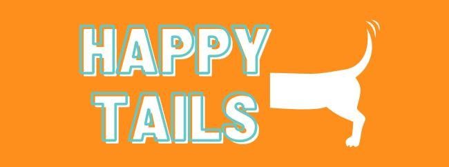 3 Happy Adoption Updates - Blog